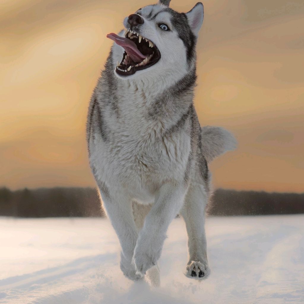 Иконка канала Сергей