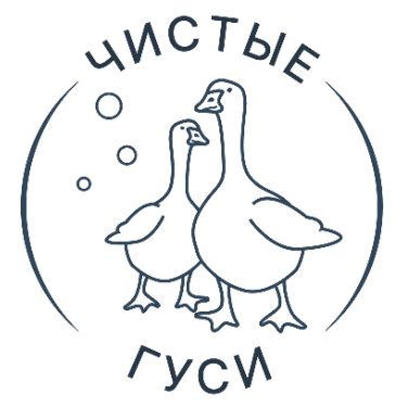 Иконка канала Чистые Гуси - клининговые услуги