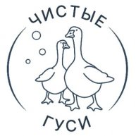 Иконка канала Чистые Гуси - клининговые услуги