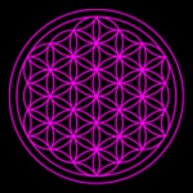 Иконка канала Всемогущая СИЛА