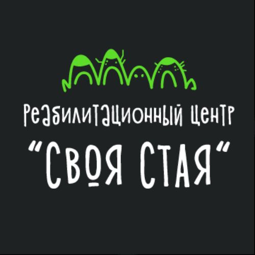 Иконка канала РЦ "Своя Стая"