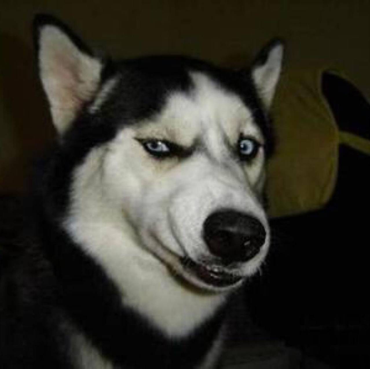 Иконка канала Dmitrang_redman