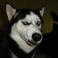 Иконка канала Dmitrang_redman