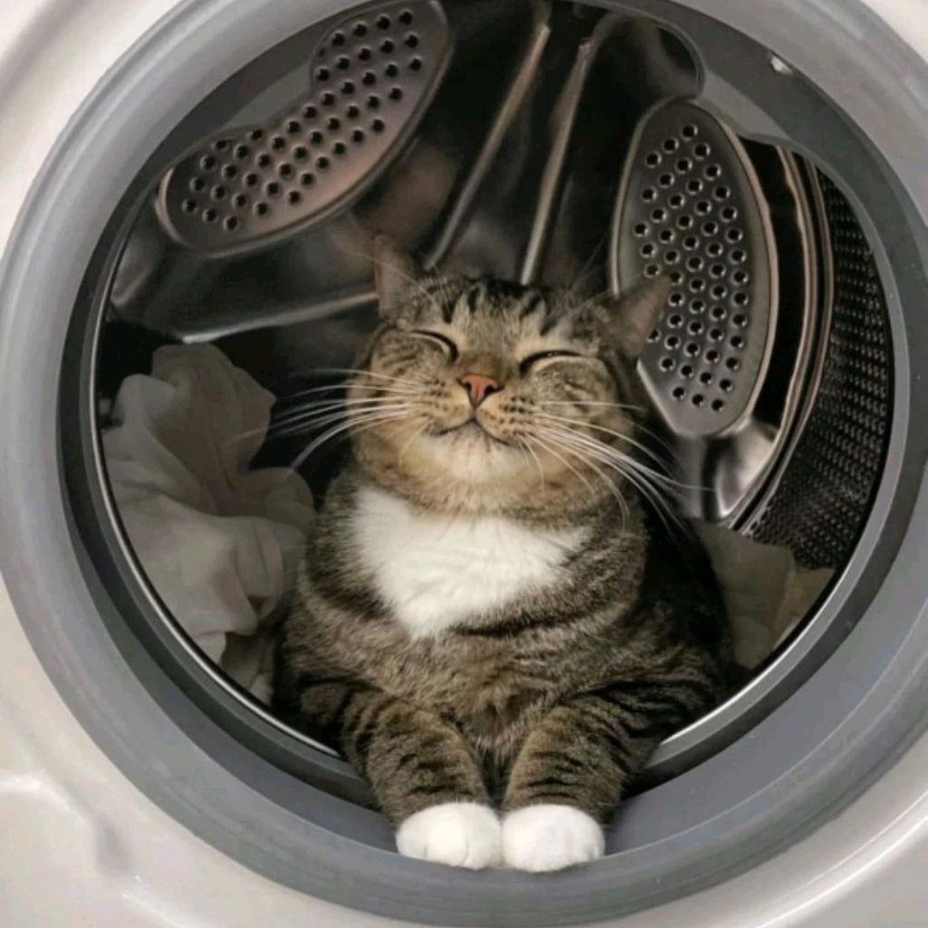 Иконка канала Борщев