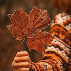 Иконка канала Nadya*