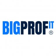 Иконка канала BIG PROFIT - канал про готовый арендный бизнес ГАБ