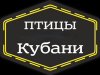 Иконка канала Птицы Кубани