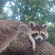 Иконка канала Бывший сборщег Олександер
