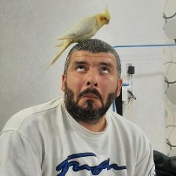 Иконка канала M.R.F_ComF.O.R.T