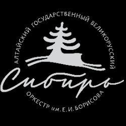 Иконка канала Государственный оркестр "СИБИРЬ" им. Е.И.Борисова