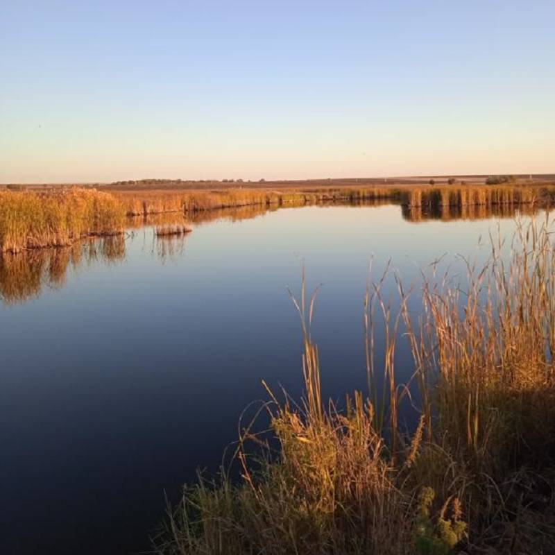 Иконка канала РДК. Творческий вечер Анатолия Балдуева