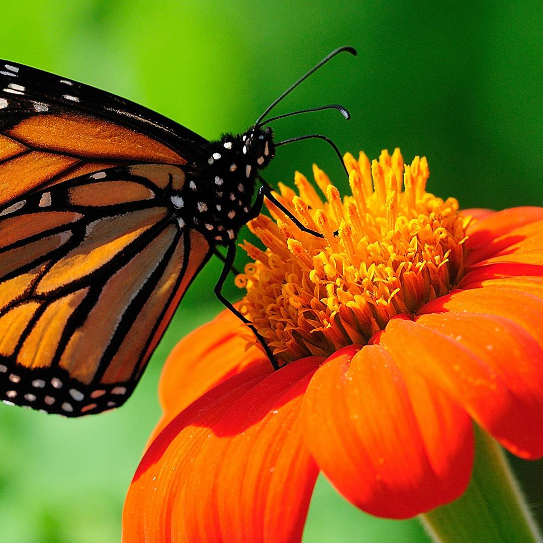 Иконка канала Влетаем в Английский