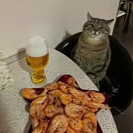 Иконка канала KRATOS parkour