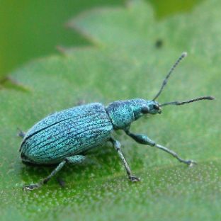 Иконка канала Женя Букуров