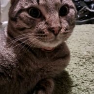 Иконка канала Я бобр😳😳