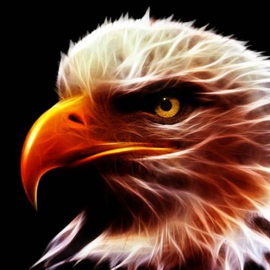 Иконка канала Орёл