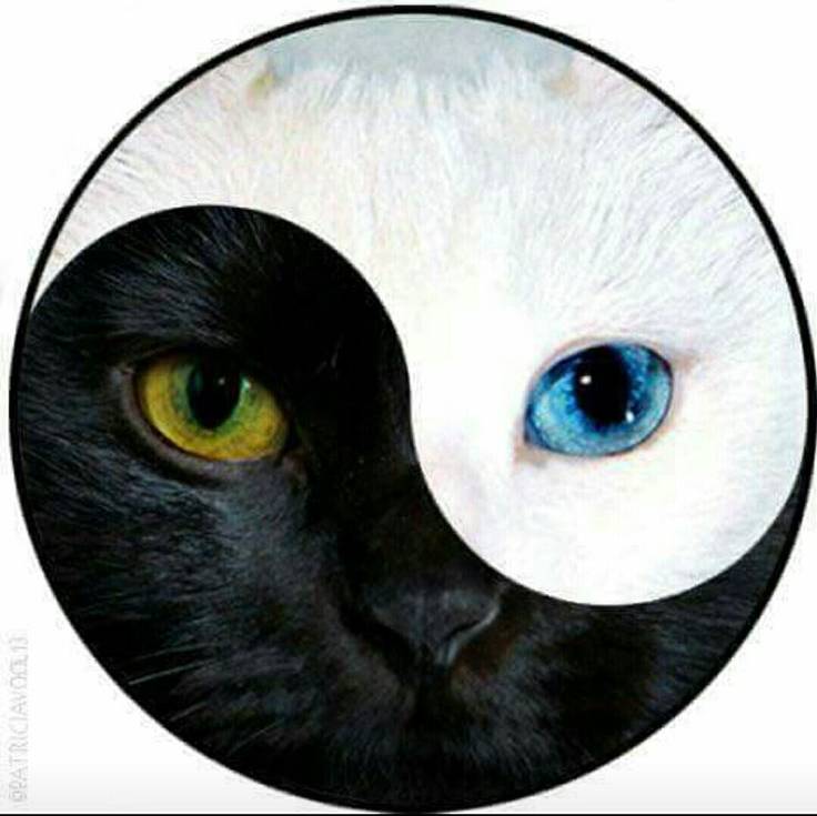 Иконка канала Мануэль