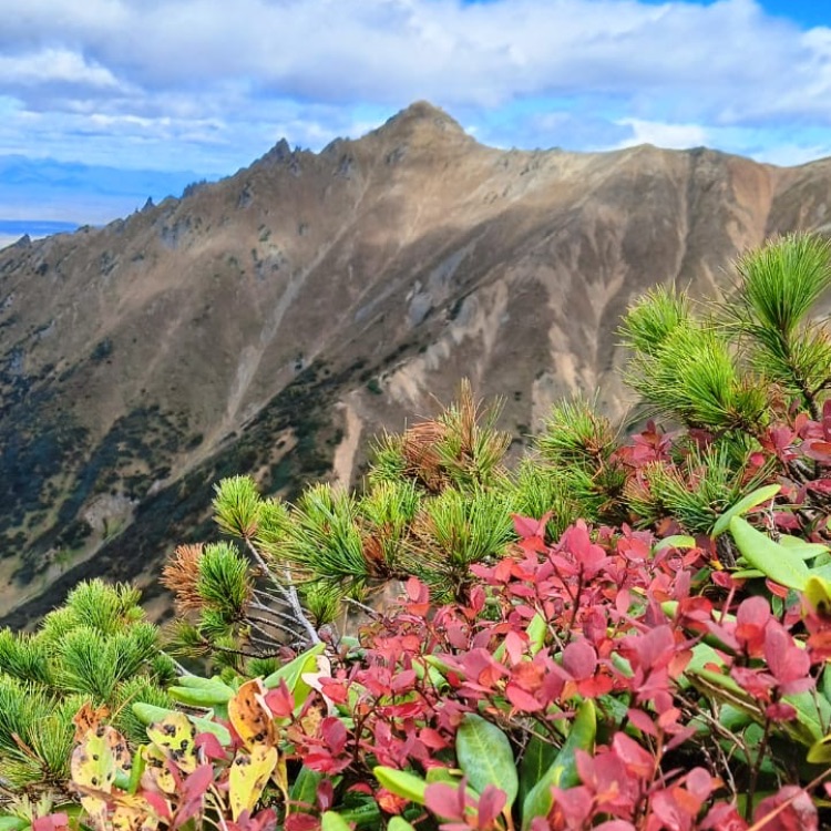 Иконка канала Maria