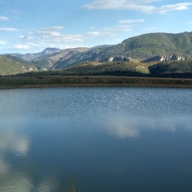 Иконка канала Все живут по-разному: моя жизнь