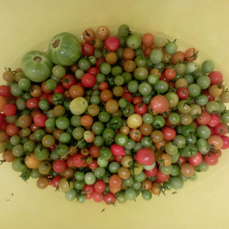 Иконка канала Огурец_в_банке