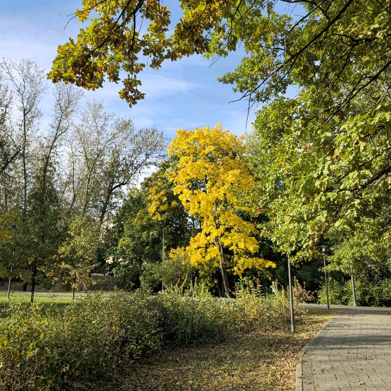 Иконка канала Эталон Времени