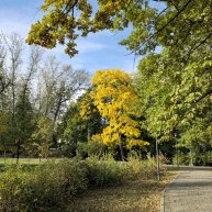 Иконка канала Эталон Времени