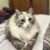 Иконка канала Я и моя вторая половина