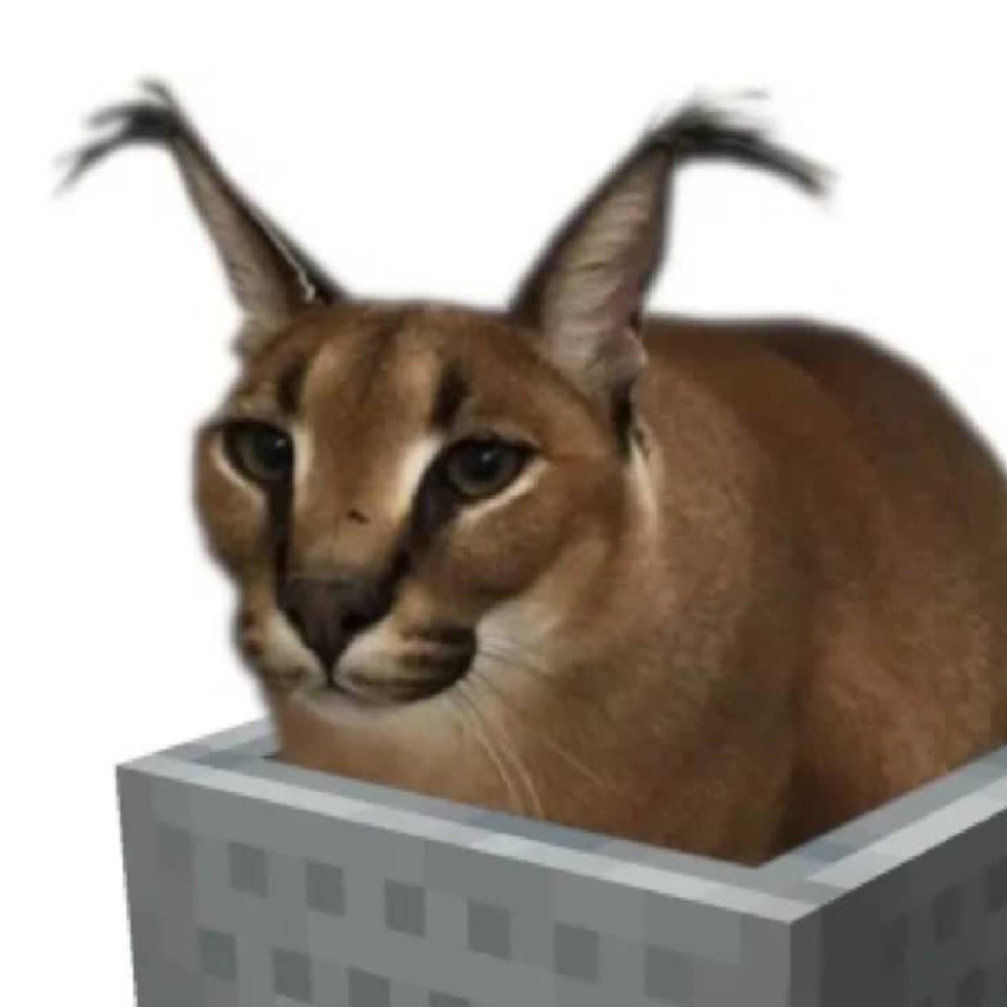 Иконка канала SemStandoff2