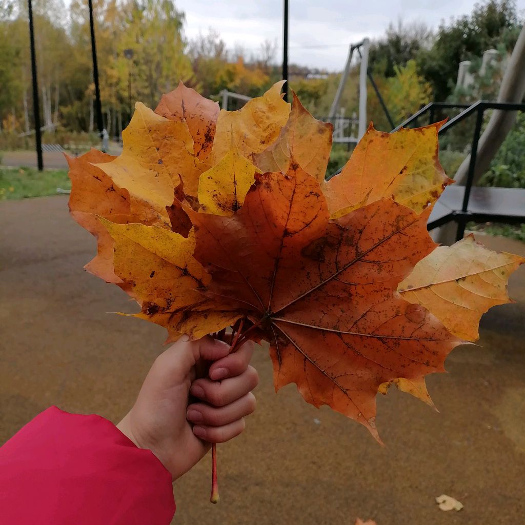 Иконка канала Алекса❤️