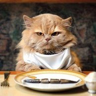 Иконка канала Lazy Blender