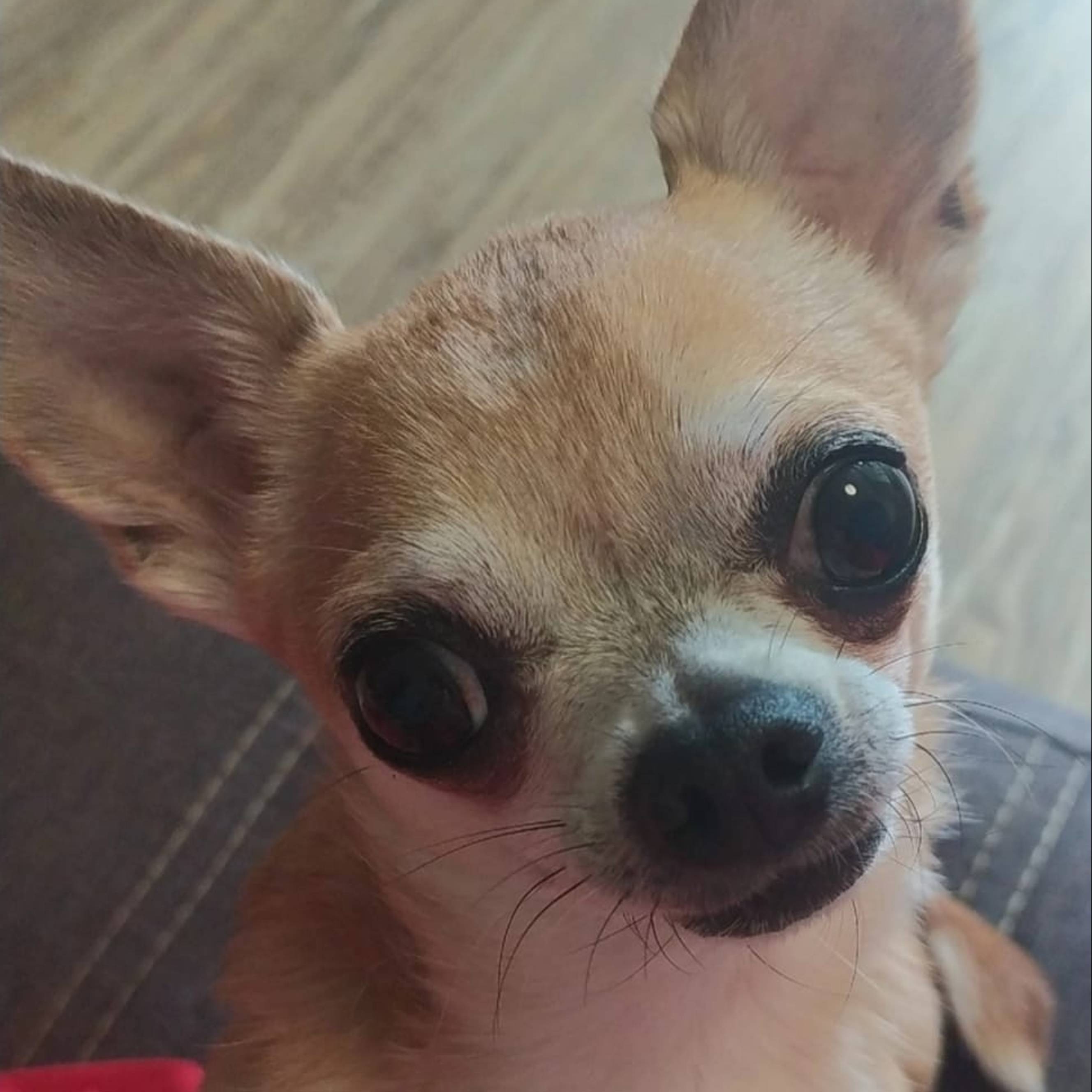 Иконка канала Do-it-yourself