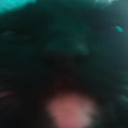 Иконка канала AirKrutoy