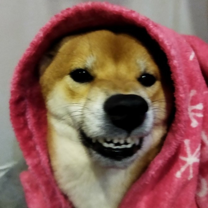 Иконка канала rondat