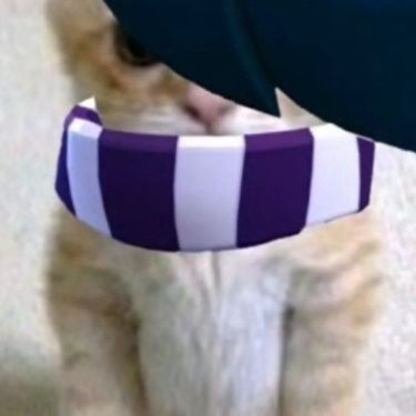 Иконка канала ТиМоФеЙкА