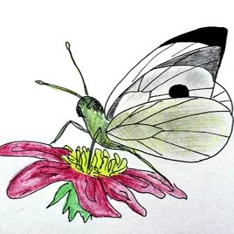 Иконка канала Михайловская ДШИ им. В. И. Агапкина