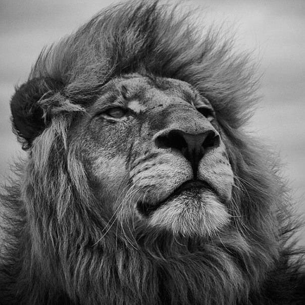 Иконка канала MONEY FIRST