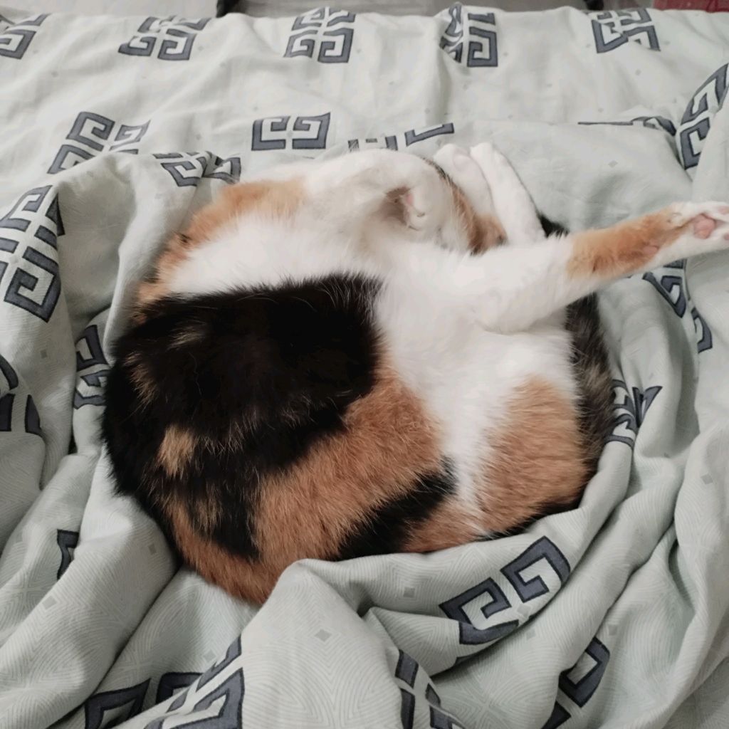 Иконка канала Котя соня😺