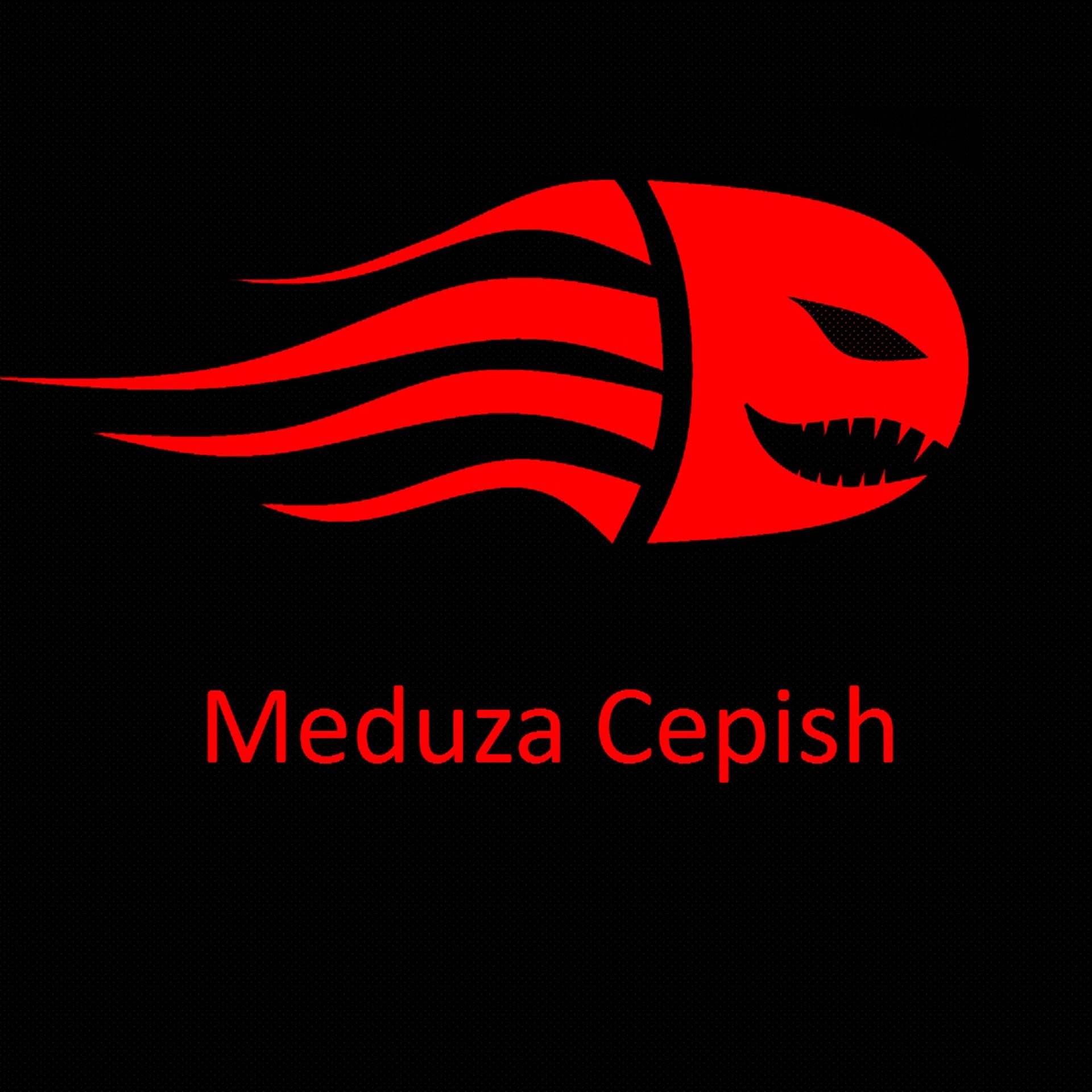 Иконка канала MeduzaCepish