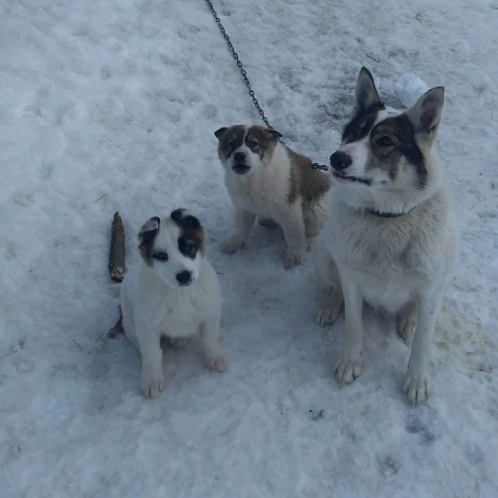 Иконка канала Еlena3008