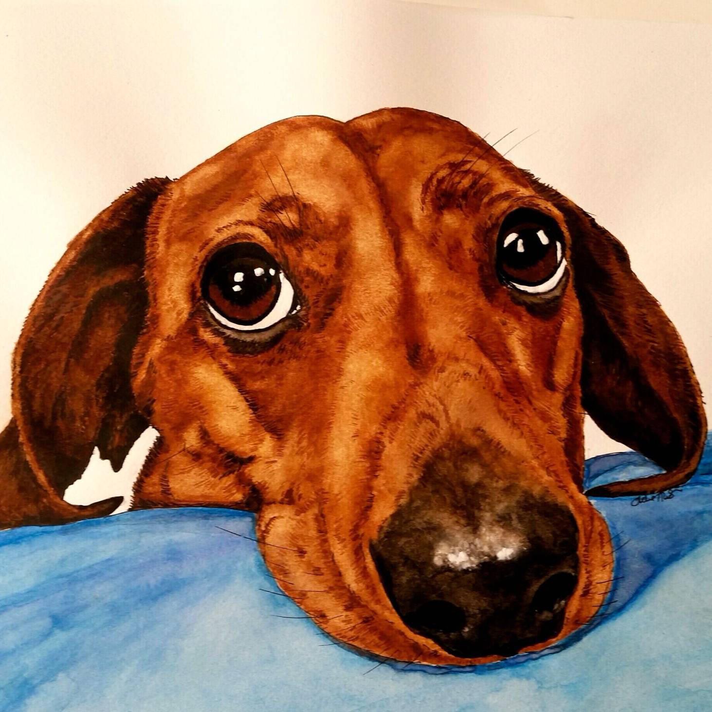 Иконка канала Vanifat