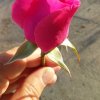 Иконка канала All_ small_things