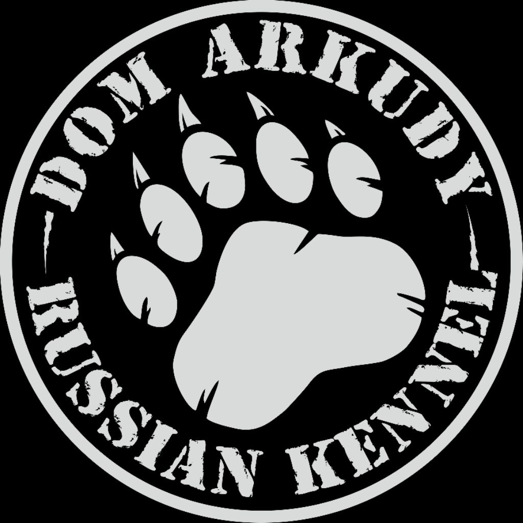 Иконка канала Dom Arkudy