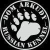 Иконка канала Dom Arkudy