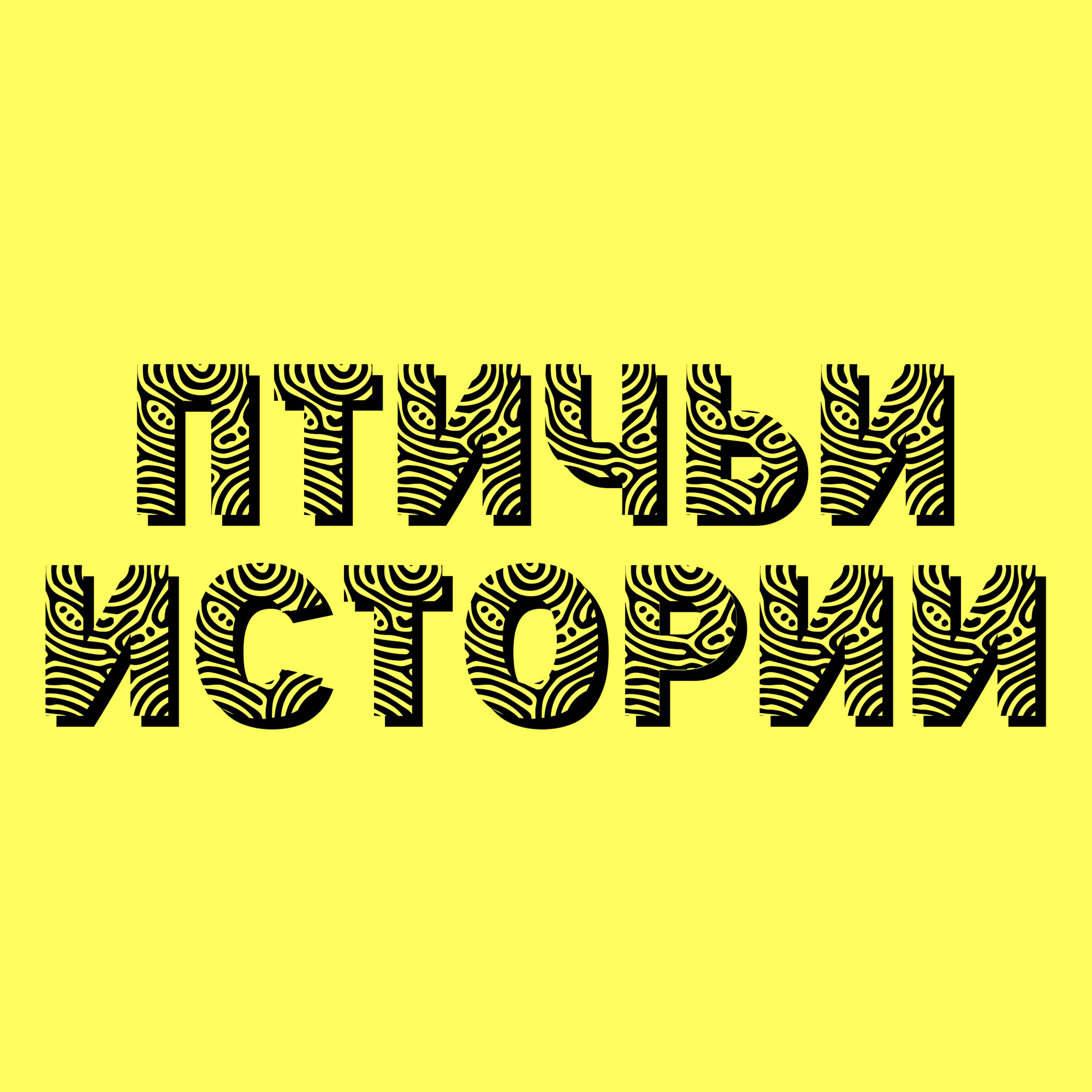 Иконка канала Птичьи истории! | Бёрдвотчинг