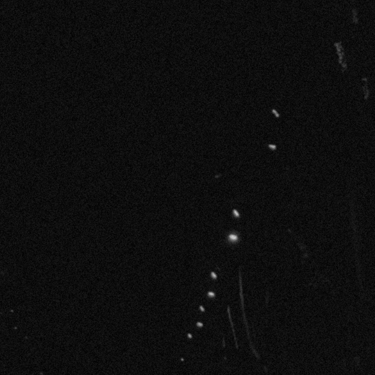 Иконка канала sever