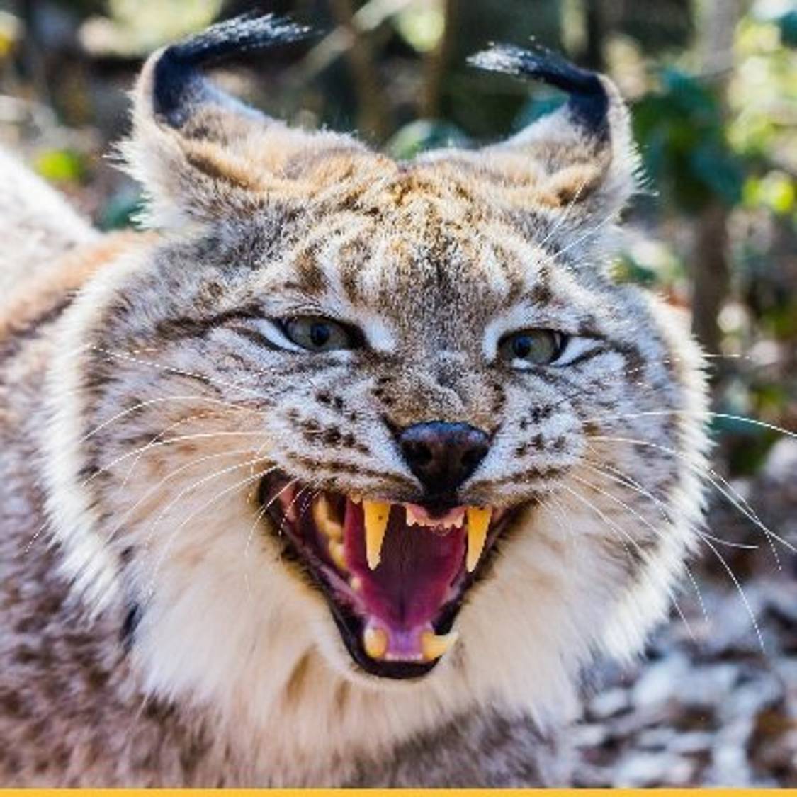 Иконка канала БеллаСлавна