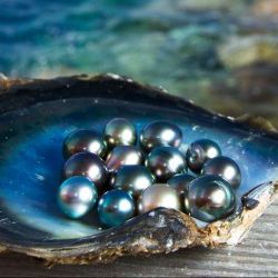 Иконка канала Сергей Жемчугов