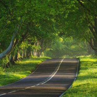 Иконка канала Путешествие и  доступность