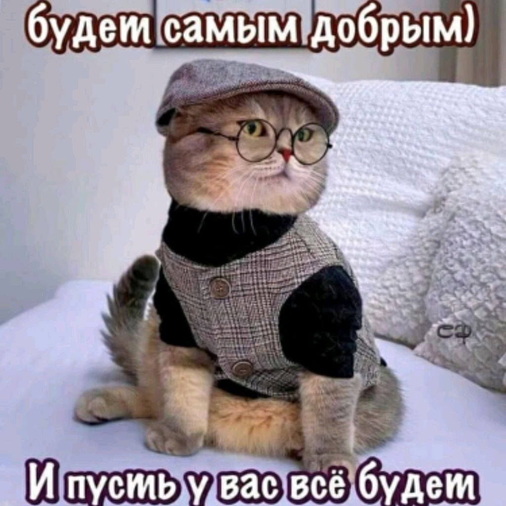 Иконка канала Андрюха😎🤑⚽🥇😈
