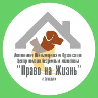 Иконка канала Право на жизнь